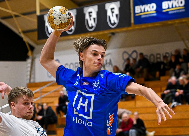 Stjarnan átti ekki í erfiðleikum með Fjölni | Handbolti.is